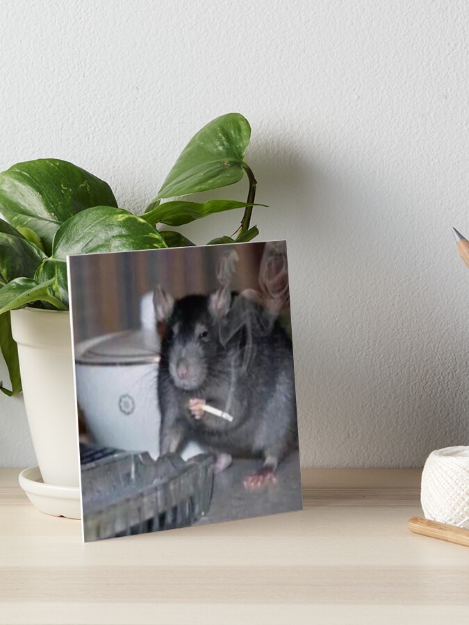 Lámina rígida for Sale con la obra «Ratatouille Rata Fumar» de Ezzyone ...