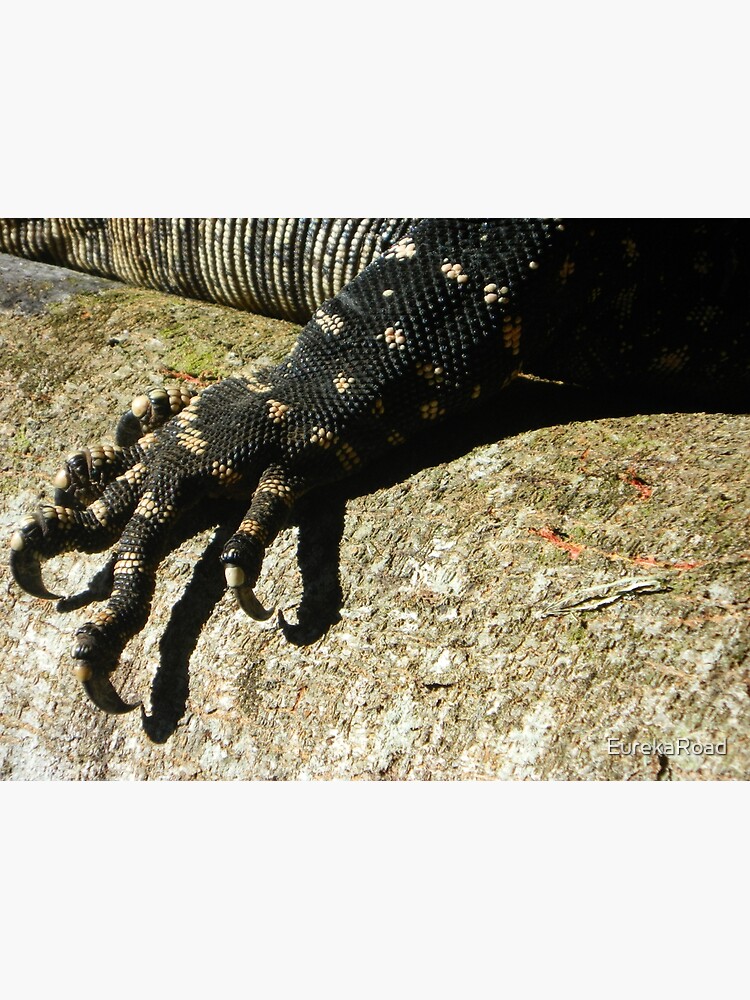 "Goanna Foot" Poster for Sale by EurekaRoad | Redbubble