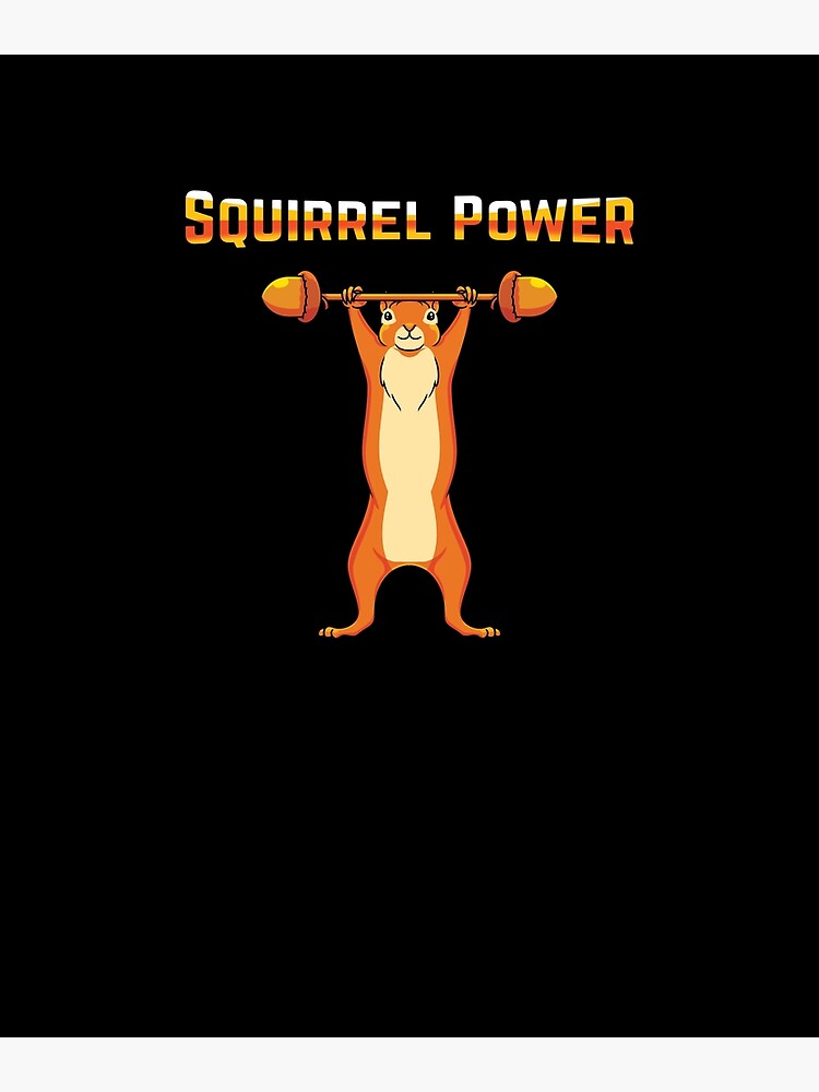 "Squirrel workout" Poster by bestshirtdesign | Redbubble