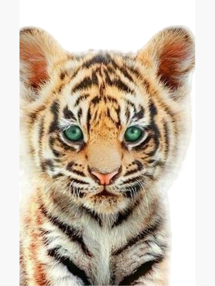 "Tiger cub" Sticker for Sale by Michel11 | Redbubble