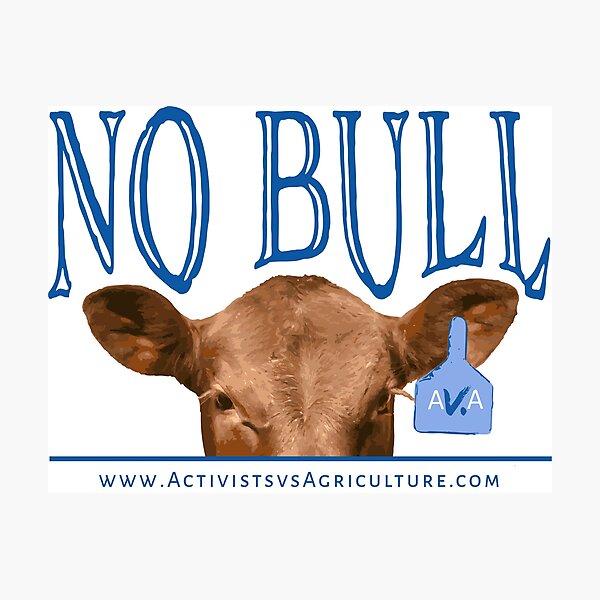 "No Bull — Red Angus Calf Sticker" Photographic Print by ActivistsVSAg ...