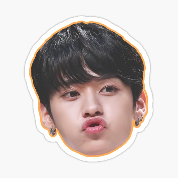 "Lee Know Stray Kids head" Sticker for Sale by tacocatboi | Redbubble