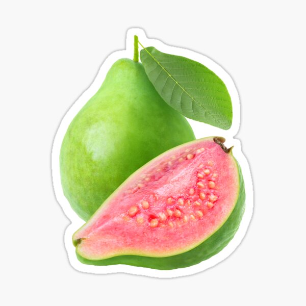 "Pink fleshed guava" Sticker for Sale by 6hands | Redbubble