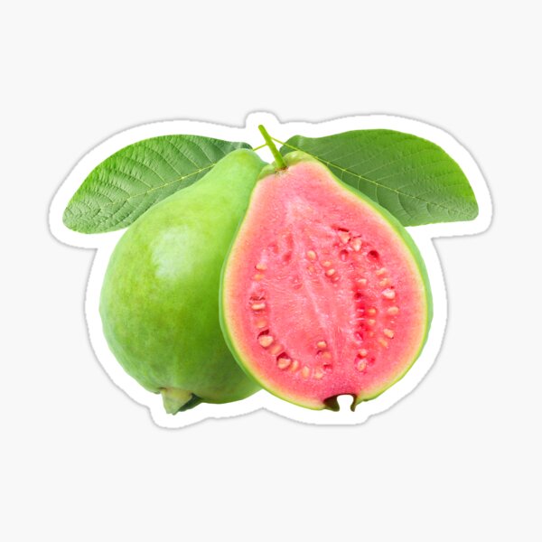 "Halved guava" Sticker by 6hands | Redbubble