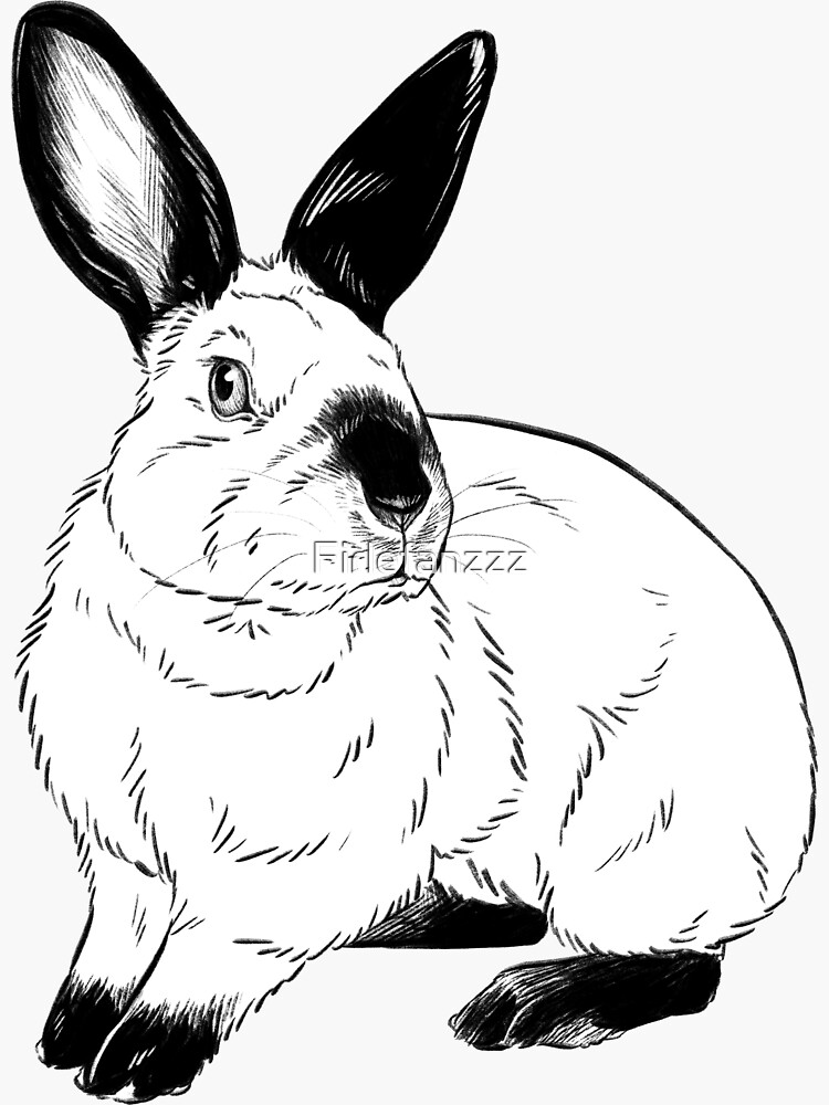 "Californian rabbit" Sticker by Firlefanzzz | Redbubble