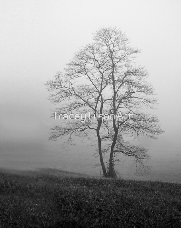 "The Perfect Tree" by TraceyTilsonArt | Redbubble