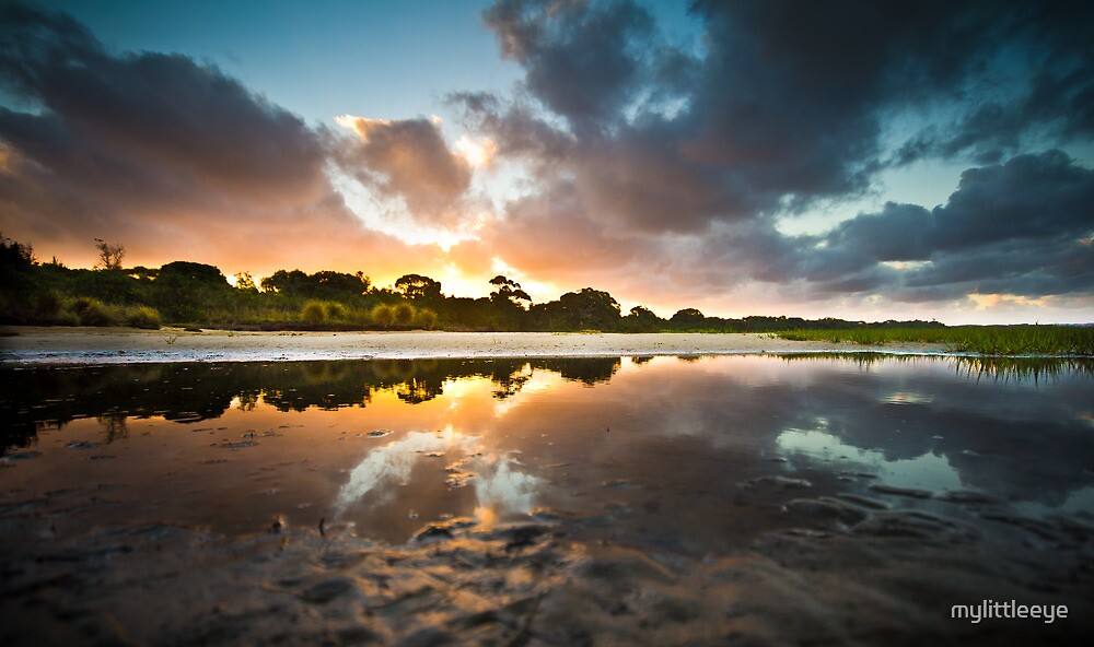 "Doyles rd, Venus Bay, Victoria, Australia" by mylittleeye | Redbubble