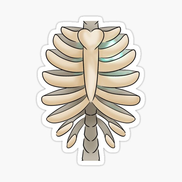 "Sans the skeleton ribcage" Sticker for Sale by C15u5hi | Redbubble