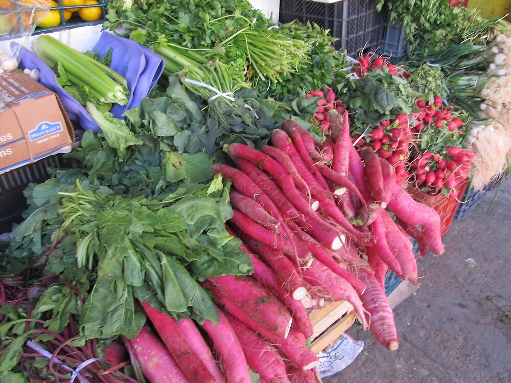 "Radish - Rabano" by PtoVallartaMex | Redbubble