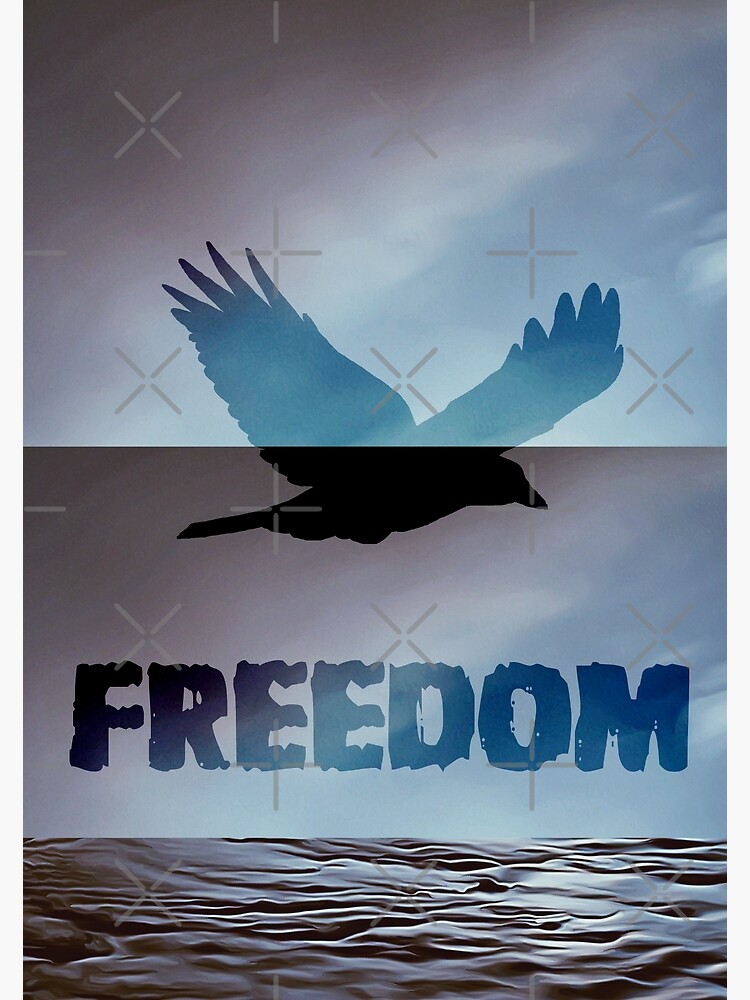 "Freedom Poster Bird Picture Photo Print Modern Decor | Sky & Bird ...