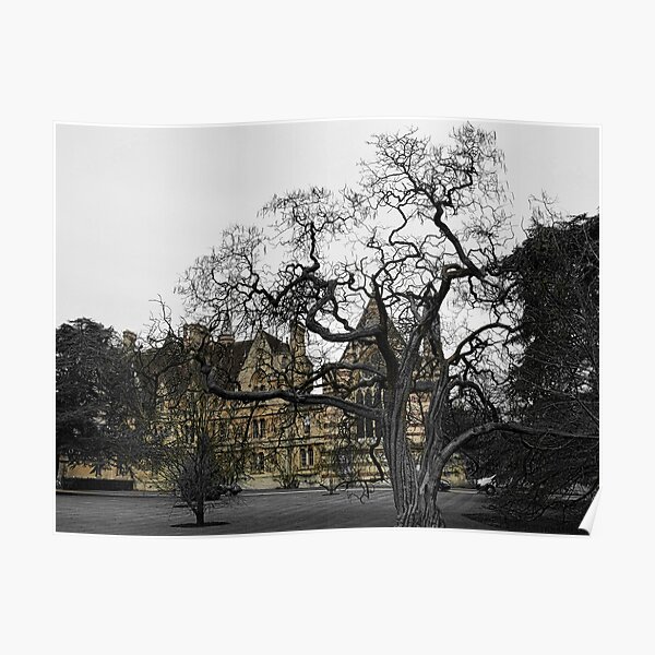 "Oxford University motto - Lord is my light" Poster by santoshputhran ...