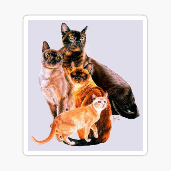 "Burmese Assortment" Sticker for Sale by BarbBarcikKeith | Redbubble