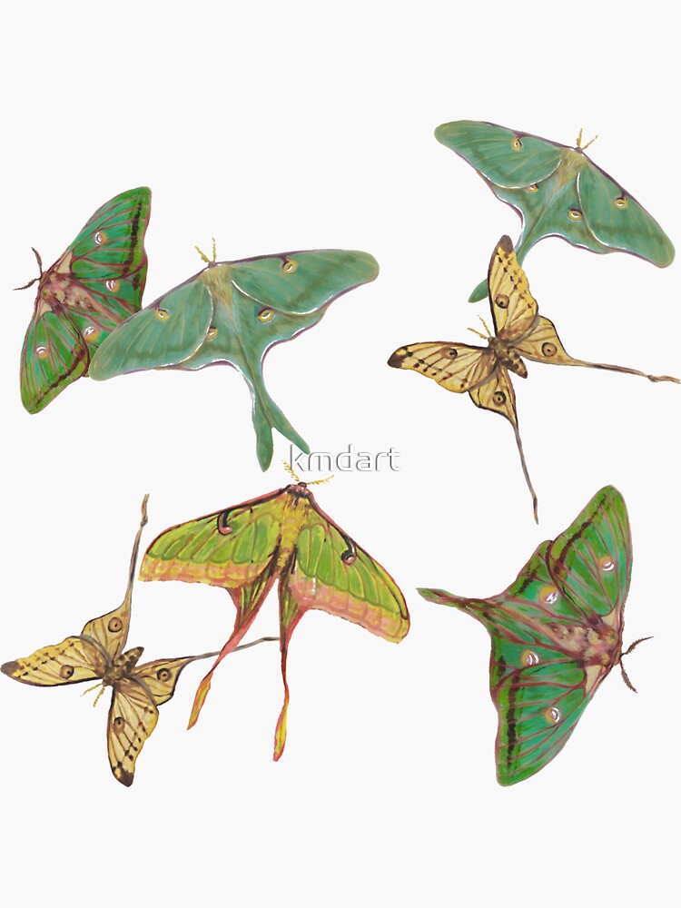 "Moth Cluster" Sticker for Sale by kmdart | Redbubble