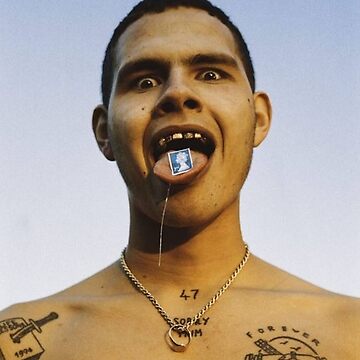 "Slowthai" Poster for Sale by andi0521 | Redbubble