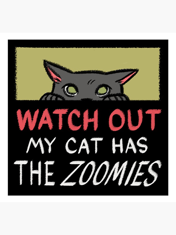 "Zoomies " Sticker for Sale by Madeleine-Elise | Redbubble