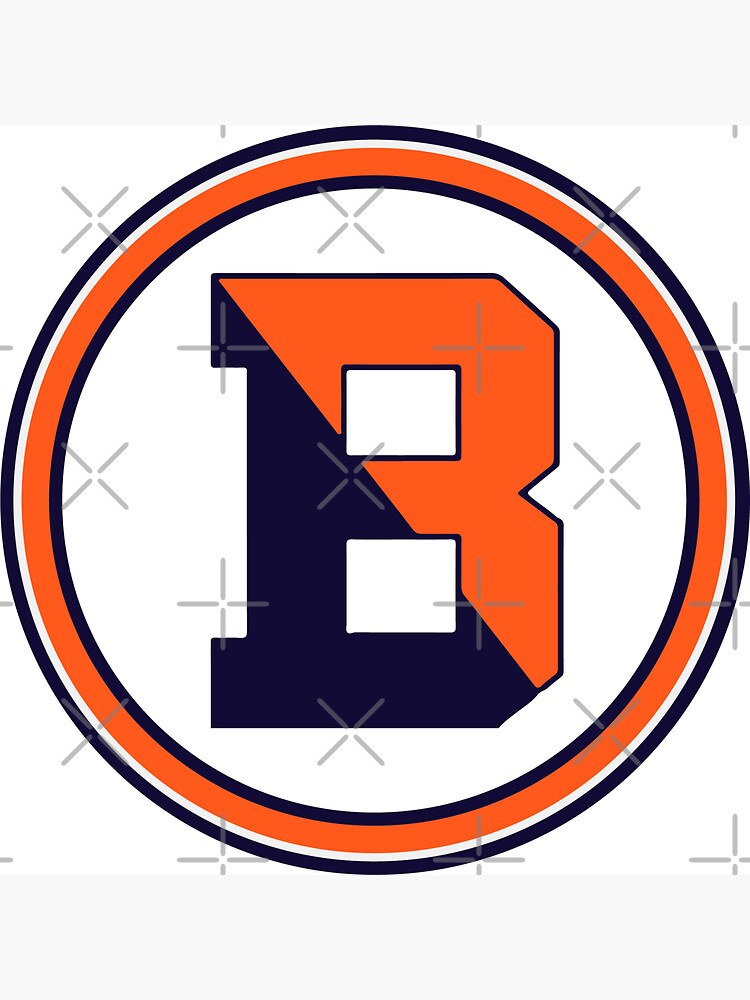 Bucknell B Logo Bucknell University – Smathers & Branson