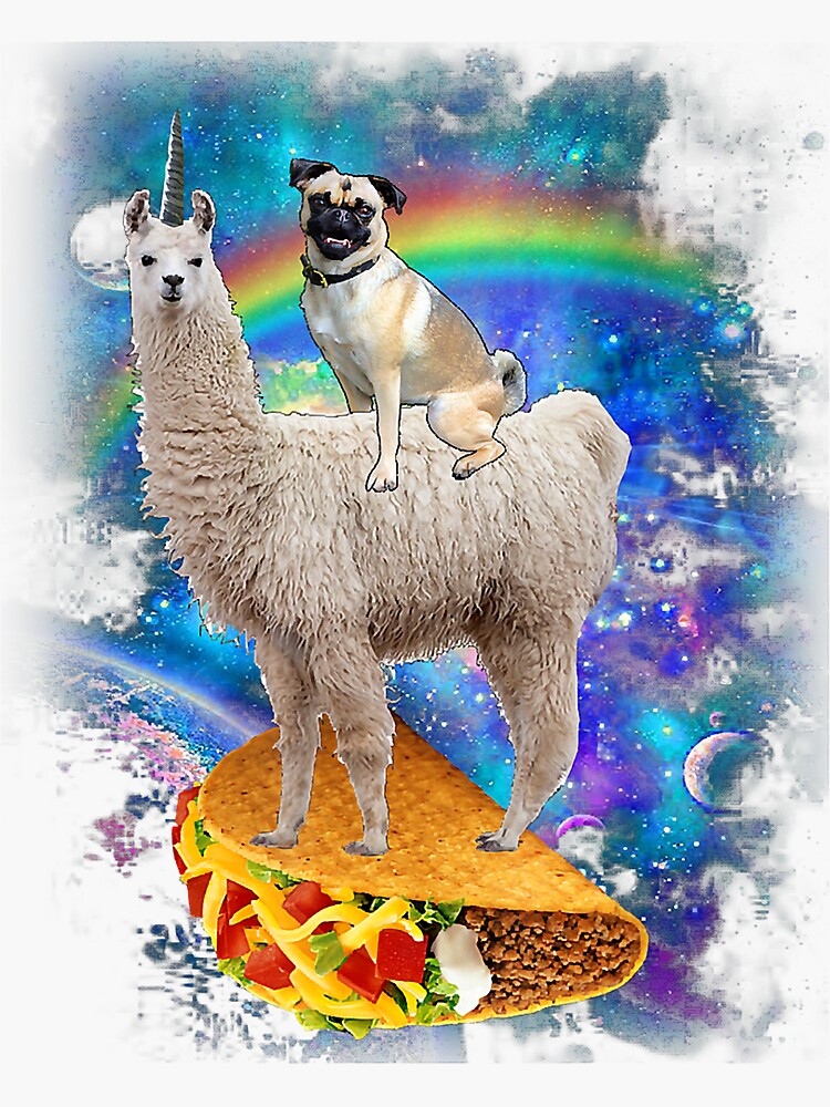"Space Pug Riding Llama Taco Pug Alpaca Llamas Funny Cute Alpacas ...