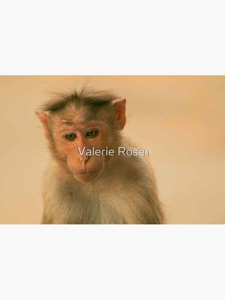"Monkey Face" Poster for Sale by bareri | Redbubble