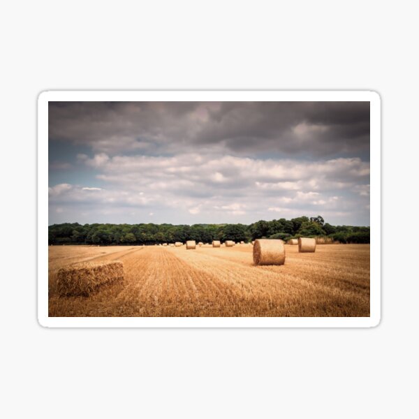 "The Bale" Sticker by JEZ22 | Redbubble