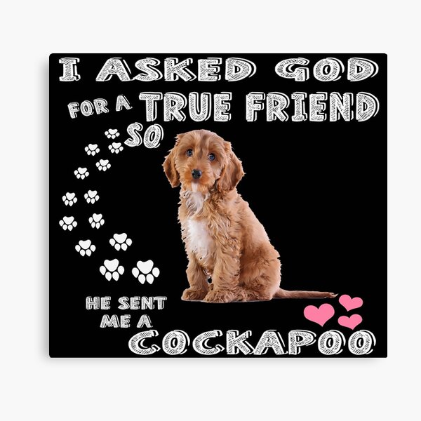 Cockapoo Canvas Prints | Redbubble