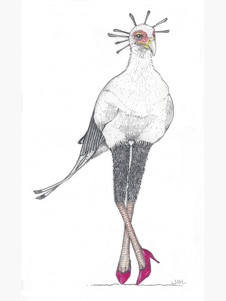 "Secretary bird in red high heels" Art Print for Sale by JimsBirds ...