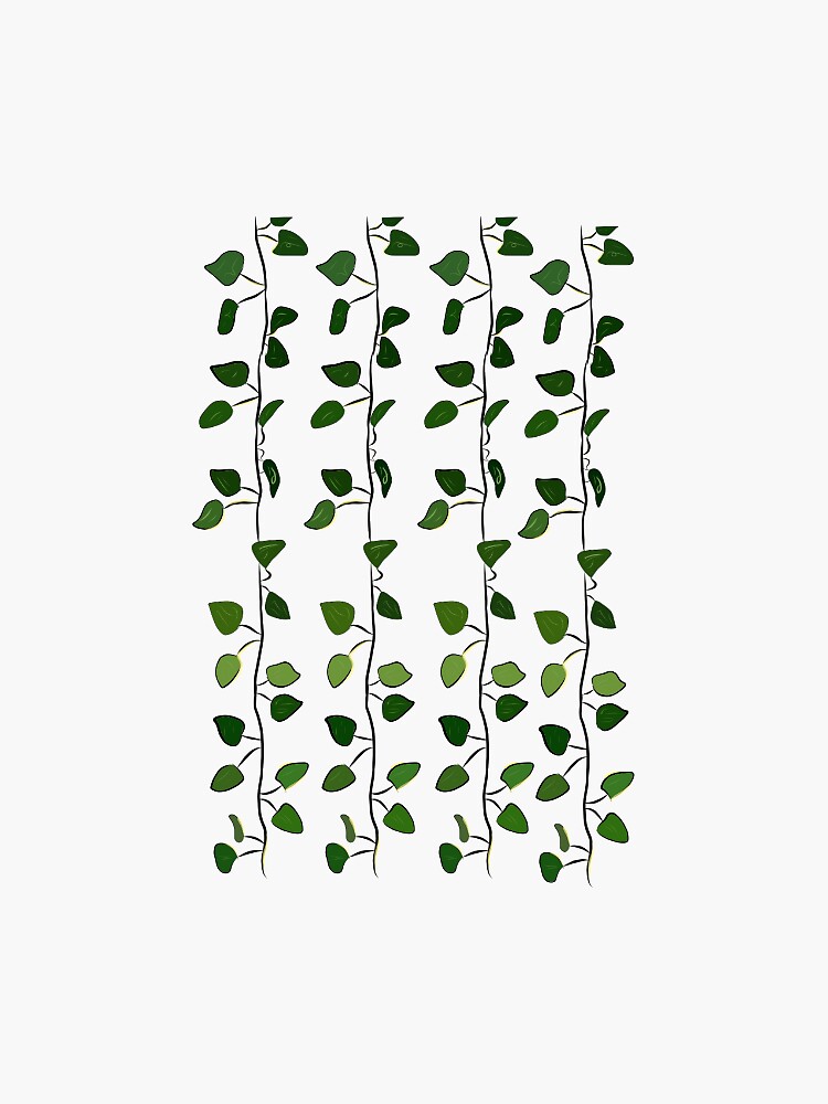 "hanging vines, plant vines" Sticker for Sale by alexandratauber ...