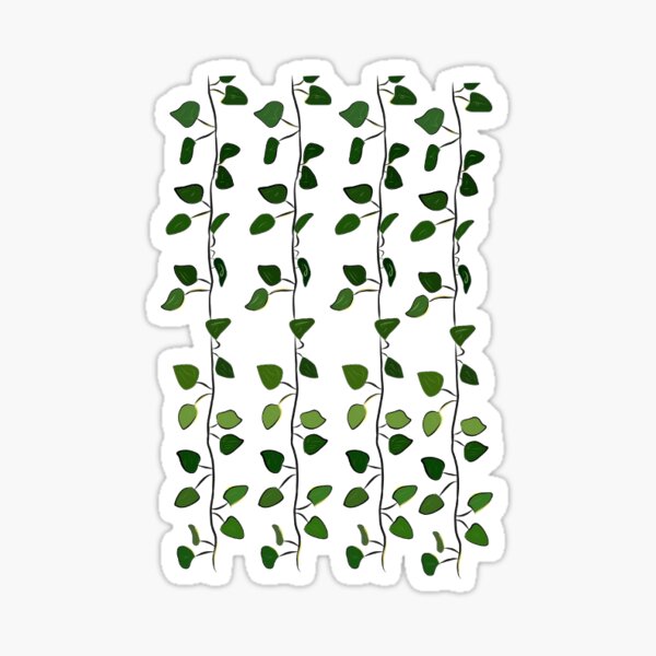 "hanging vines, plant vines" Sticker for Sale by alexandratauber ...