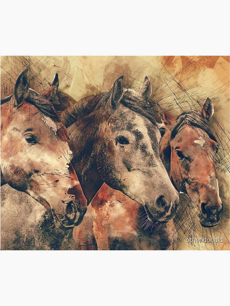 "Three Horses Together Painting" Poster by othendonald | Redbubble
