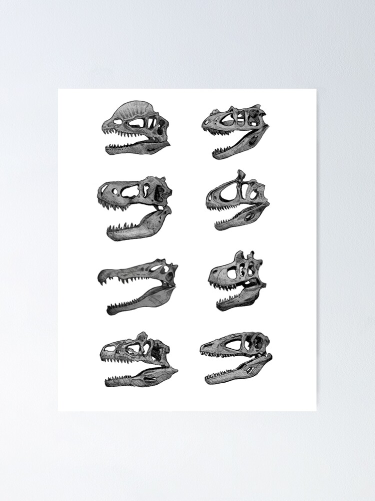 "The Theropoda: Large Theropods" Poster by the-daffodil | Redbubble