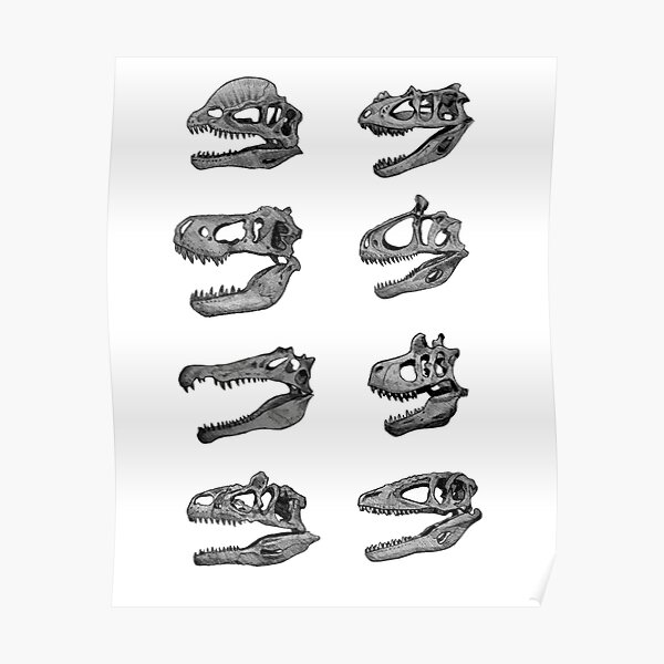 "The Theropoda: Large Theropods" Poster by the-daffodil | Redbubble