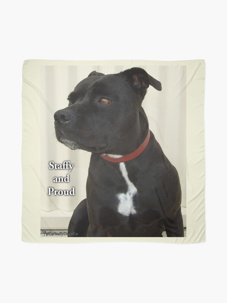 "Staffy and Proud" Scarf by StaffyDognCo | Redbubble