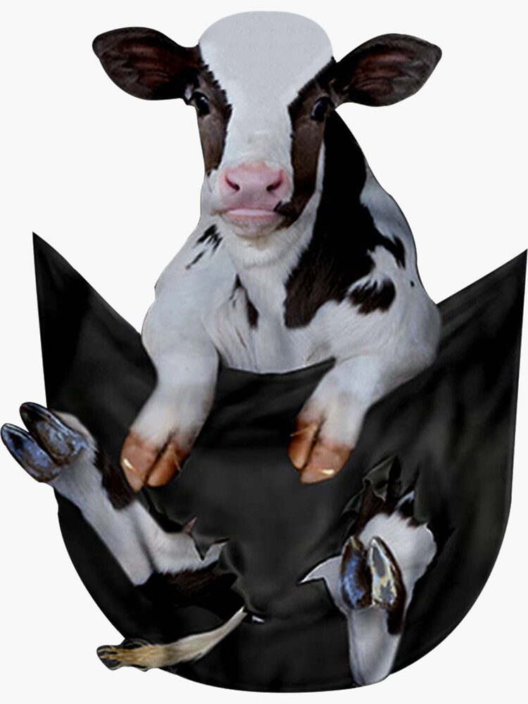 "Cow in pocket" Sticker by Kennation | Redbubble