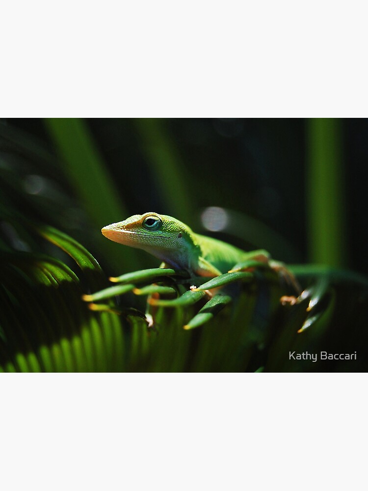 "Little Lizard On A Sago Palm Tree" Poster by KBaccari | Redbubble