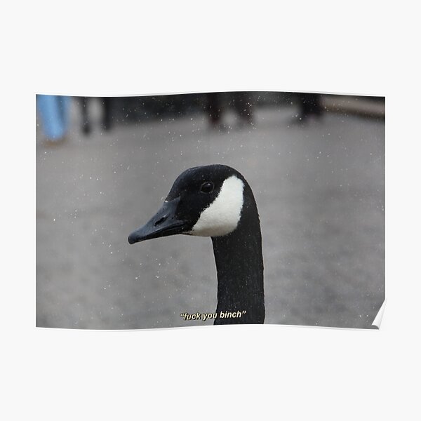 Angry Goose Posters | Redbubble