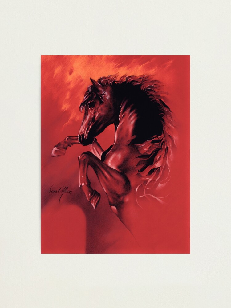 "Red Fury" Photographic Print for Sale by sara-moon | Redbubble