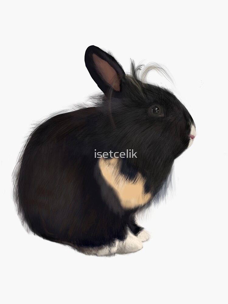 "Lenny the rabbit" Sticker by isetcelik | Redbubble