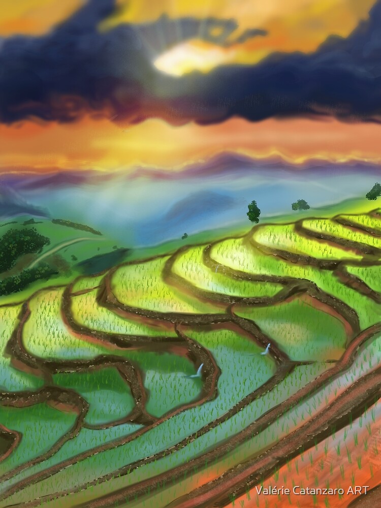 "Rice fields Digital art" Poster for Sale by adropofcolor | Redbubble