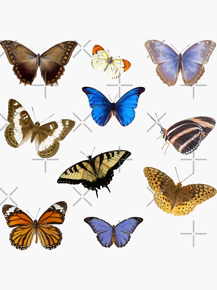 "Butterfly pack" Sticker for Sale by Ranp | Redbubble