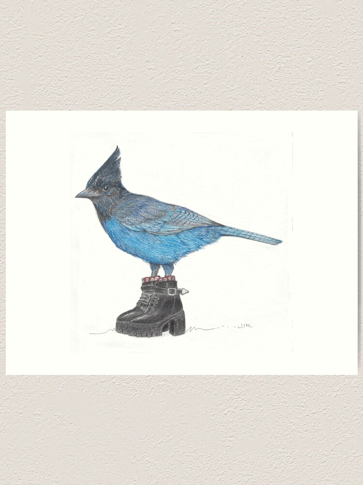 "blue jay in punk boots" Art Print for Sale by JimsBirds | Redbubble