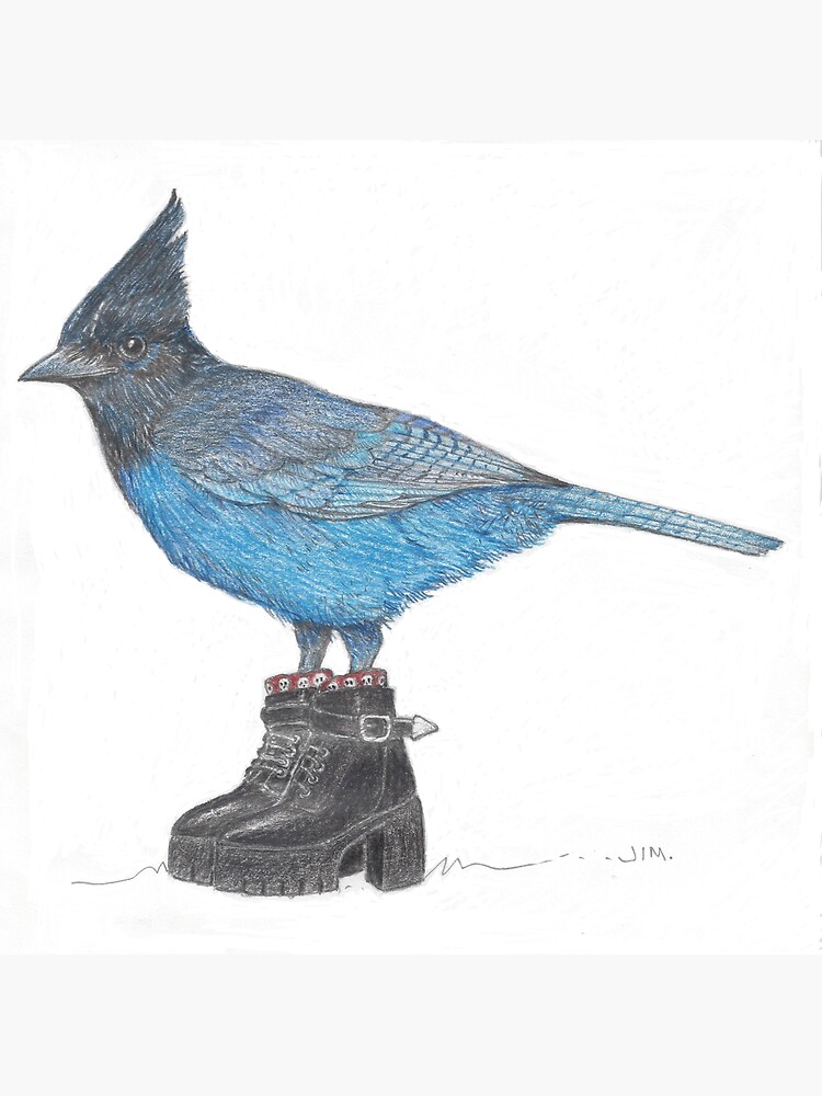 "blue jay in punk boots" Art Print for Sale by JimsBirds | Redbubble