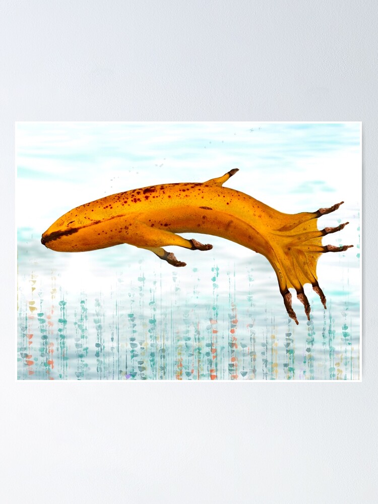 ""Musa marinus"" Poster for Sale by Leapingbluehare | Redbubble