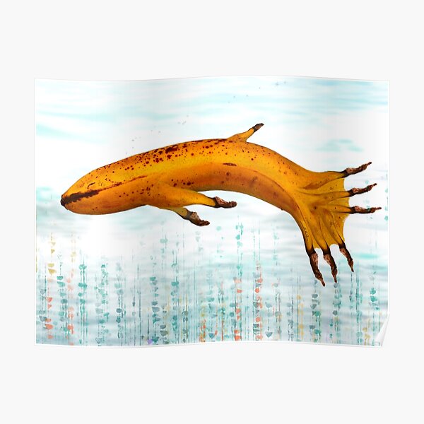 ""Musa marinus"" Poster for Sale by Leapingbluehare | Redbubble