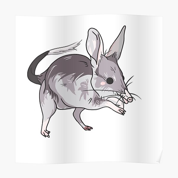 "Bilby" Poster by Alixe-Lemon | Redbubble
