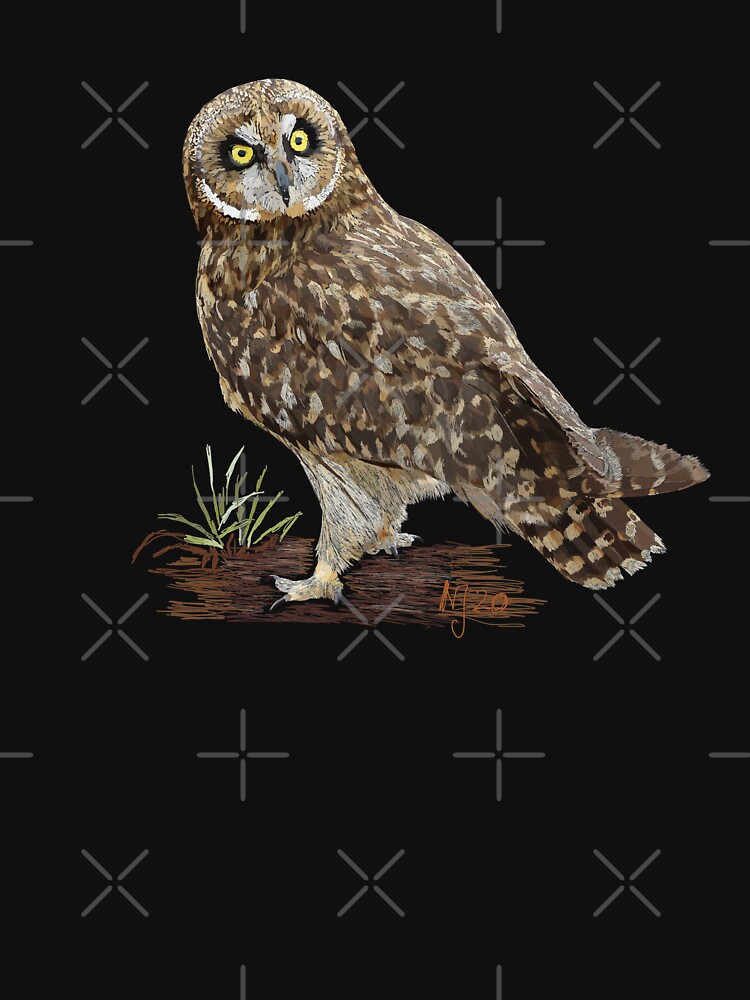 "Pueo, Hawaiian Owl" Pullover Hoodie for Sale by Nadja Jacobson | Redbubble