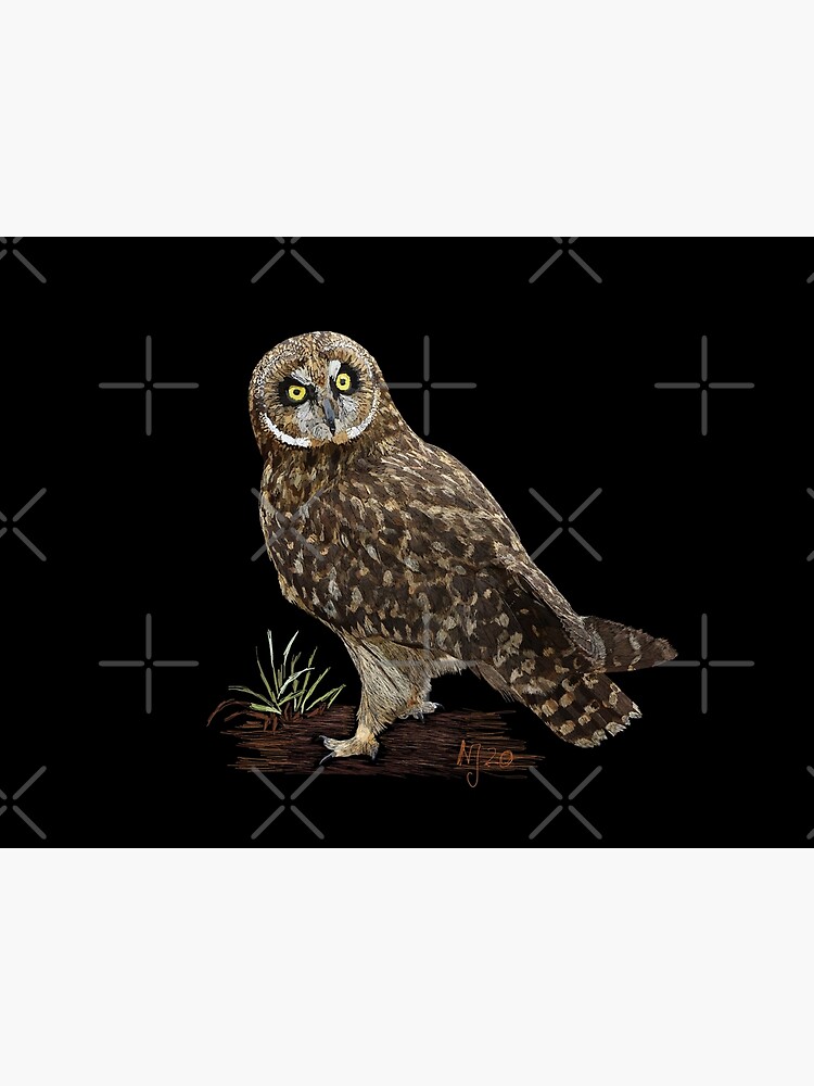 "Pueo, Hawaiian Owl" Greeting Card for Sale by Nadja Jacobson | Redbubble