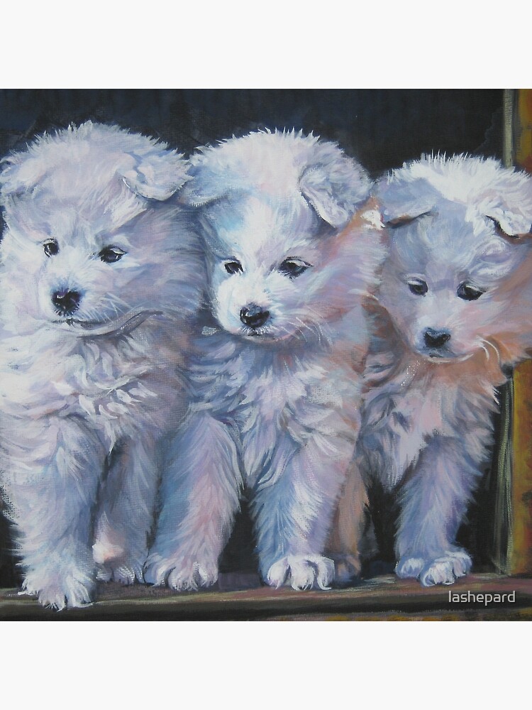 "Samoyed Fine Art Painting" Poster by lashepard | Redbubble