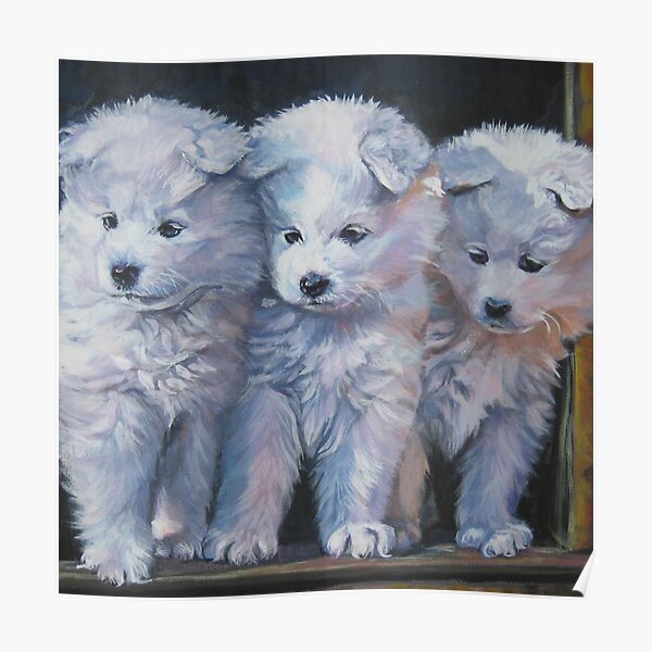 "Samoyed Fine Art Painting" Poster by lashepard | Redbubble