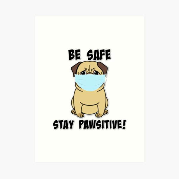 "BE SAFE STAY PAWSITIVE! PUG IN A MEDICAL MASK CORONA VIRUS COVID-19 ...