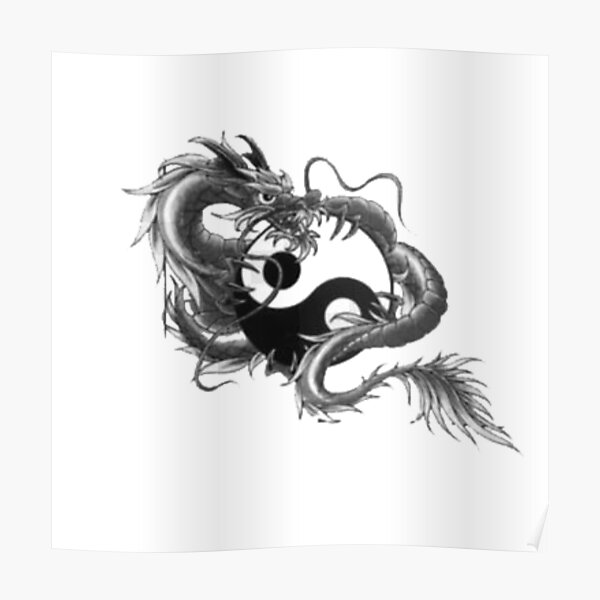 Ying Yang Dragon Drawing Design Poster By New Designshop Redbubble