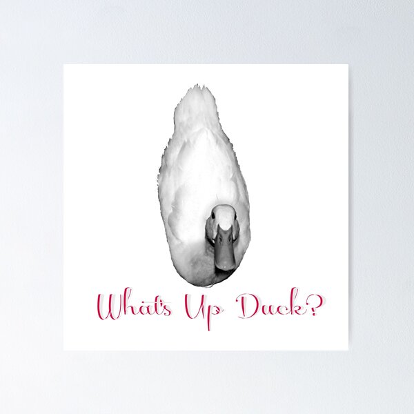 "What's Up Duck" Poster for Sale by stormchaser7 | Redbubble
